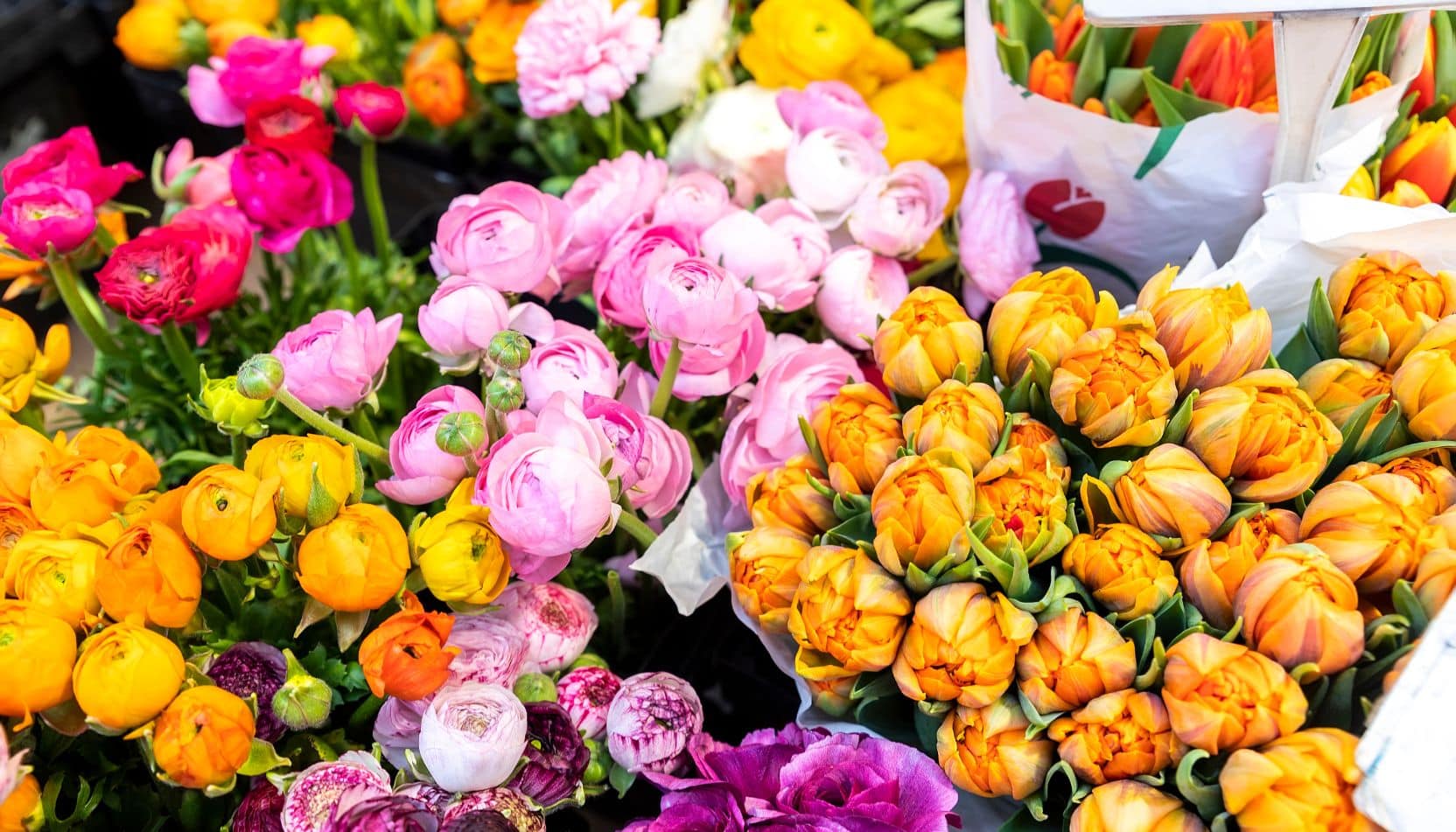 Dragonetti Florist | Brooklyn Florist | Same-Day Flower Delivery ...